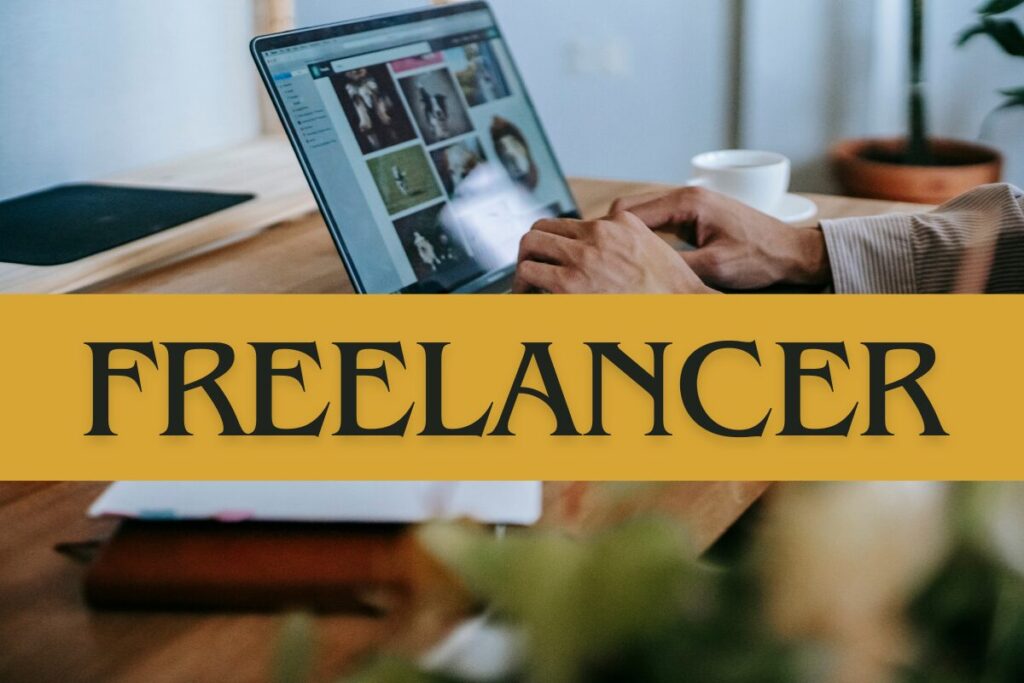 Freelancer: Entenda o Significado e Como Funciona - MEU EMPREGO NOVO