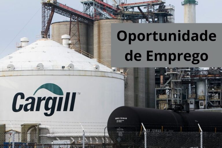 Vaga Remota na Meta! Empresa Procura Analista de Dados II para Atuar ...